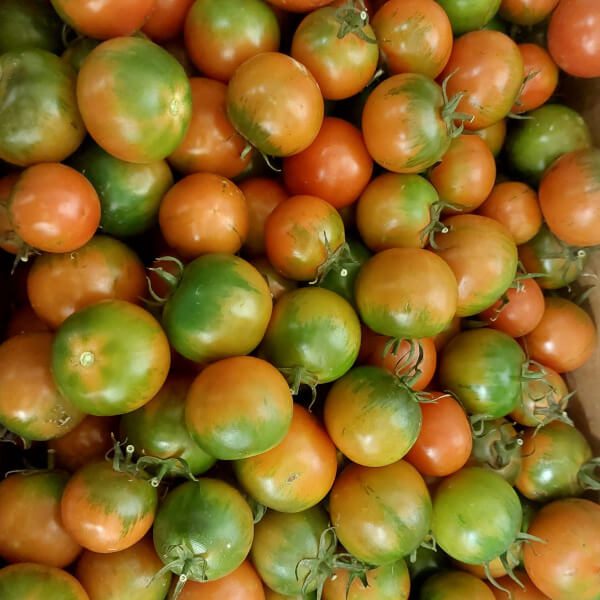 Pomodori: varietà, stagionalità, benefici e controindicazioni